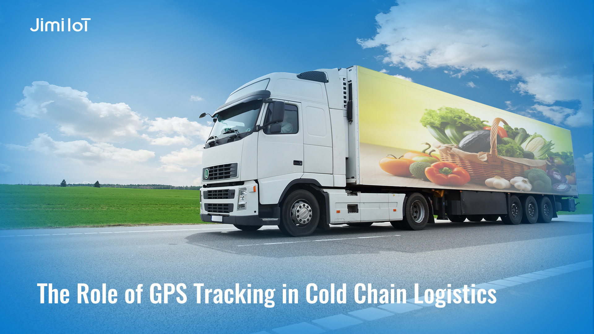 Cold Chain Logistics in Africa: Challenges and Driving Growth